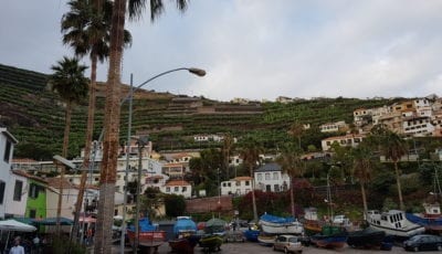 Intro to Madeira, Portugal | Say Yes to Madeira