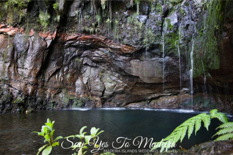 Szlaki i lewady na Maderze - Blog Madera po polsku - Say Yes to Madeira