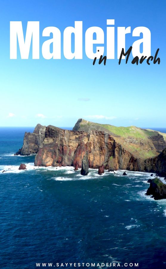 Your Madeira Story: 4 seasons in 7 days - Madeira in March - Say Yes to ...