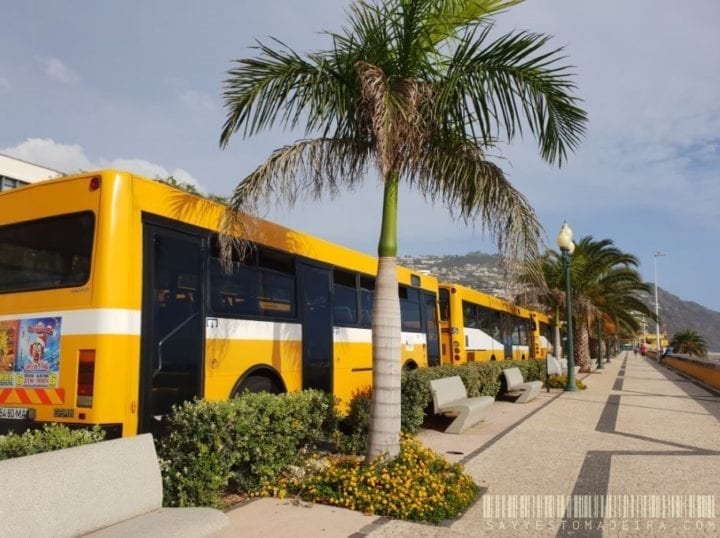 Madeira on a budget – Part III - public transport in Madeira - Say Yes ...