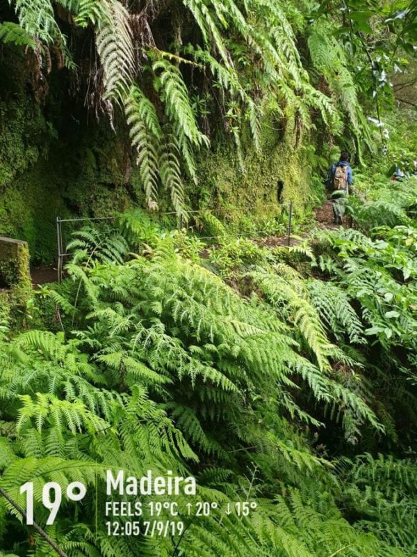 Weather in Madeira in September and October - Say Yes to Madeira