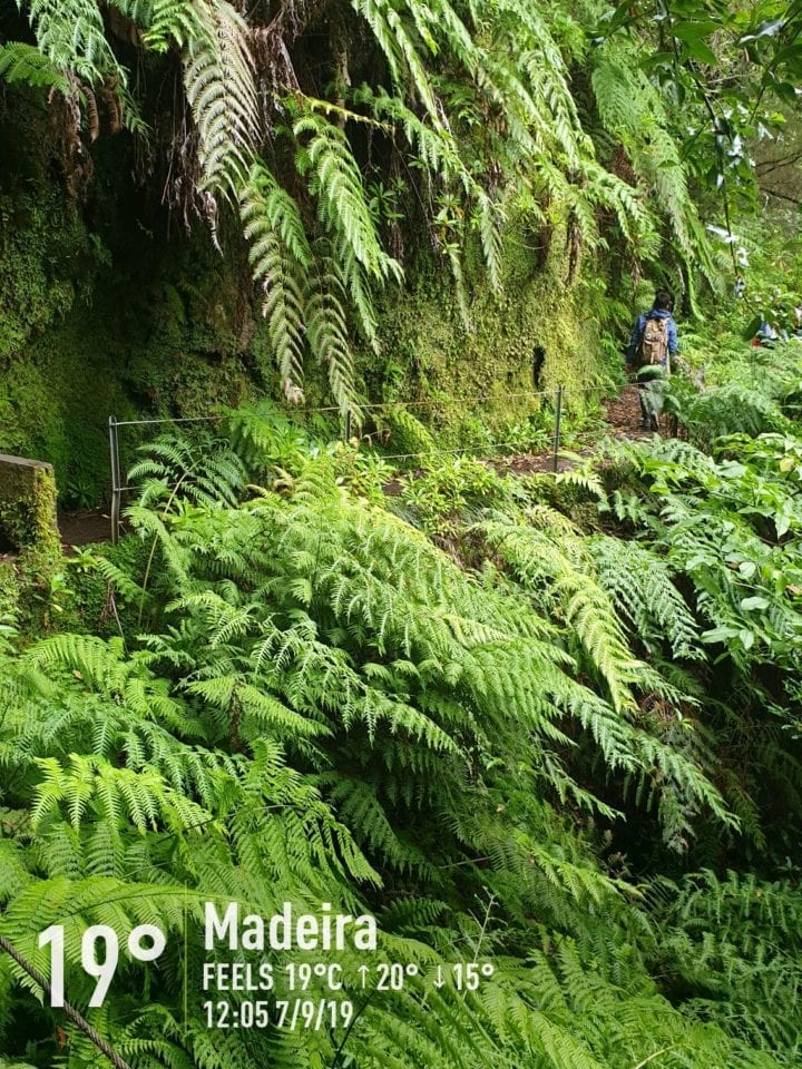 Weather in Madeira in September and October - Say Yes to Madeira