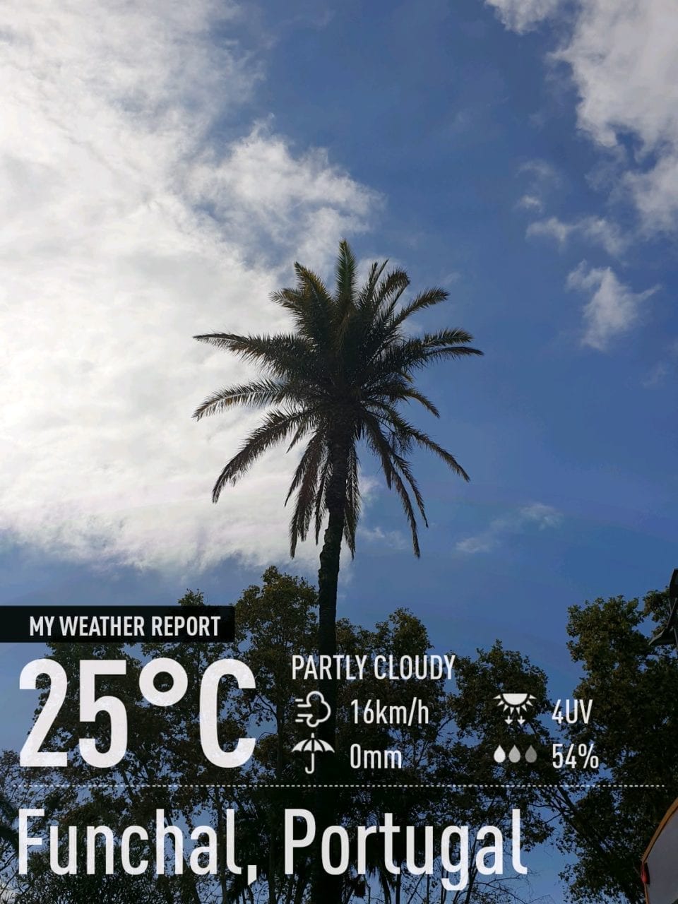 Weather in Madeira in September and October | Say Yes to Madeira