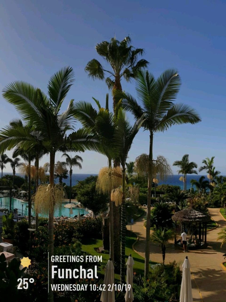 Madeira's climate and weather - Say Yes to Madeira