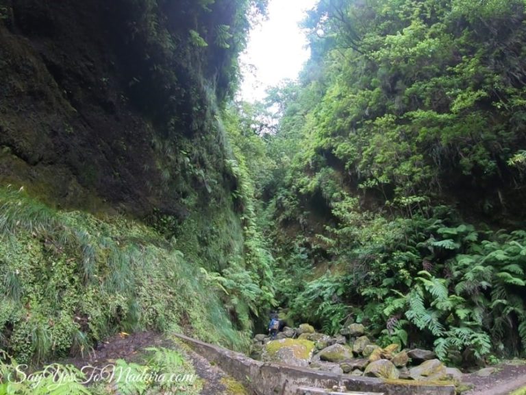 Madeira Levadas: Levada Fajã do Rodrigues (PR16) - Say Yes to Madeira